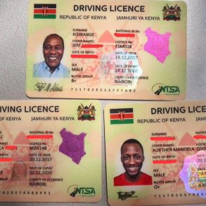 How to apply for a Kenyan passport - HapaKenya