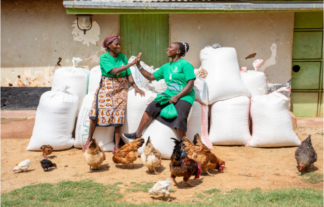 Apollo Agriculture raises Ksh. 600 Million in series A funding - HapaKenya