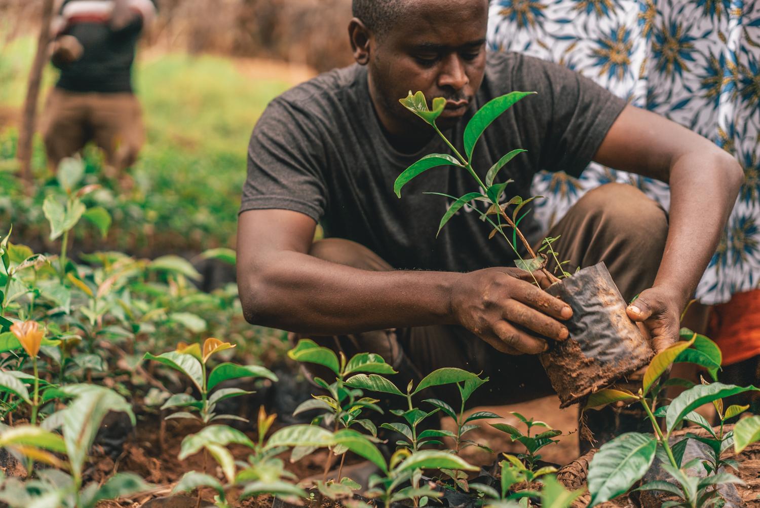 AstraZeneca partners with Global EverGreening Alliance for a ...