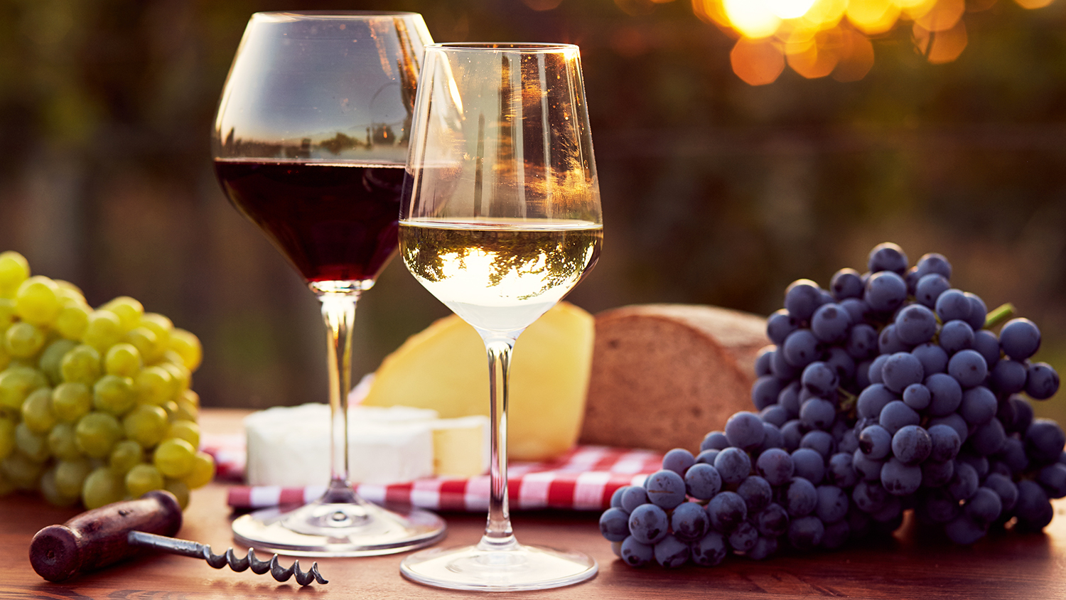 African Sun Wines wins 2 medals at the 2021 USA Wine Ratings ...