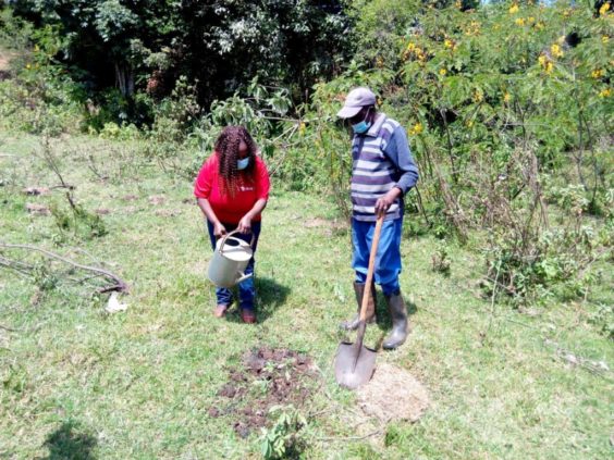 The Coca-Cola Company, Sabmiller and Coca-Cola Sabco to form Coca-Cola ...