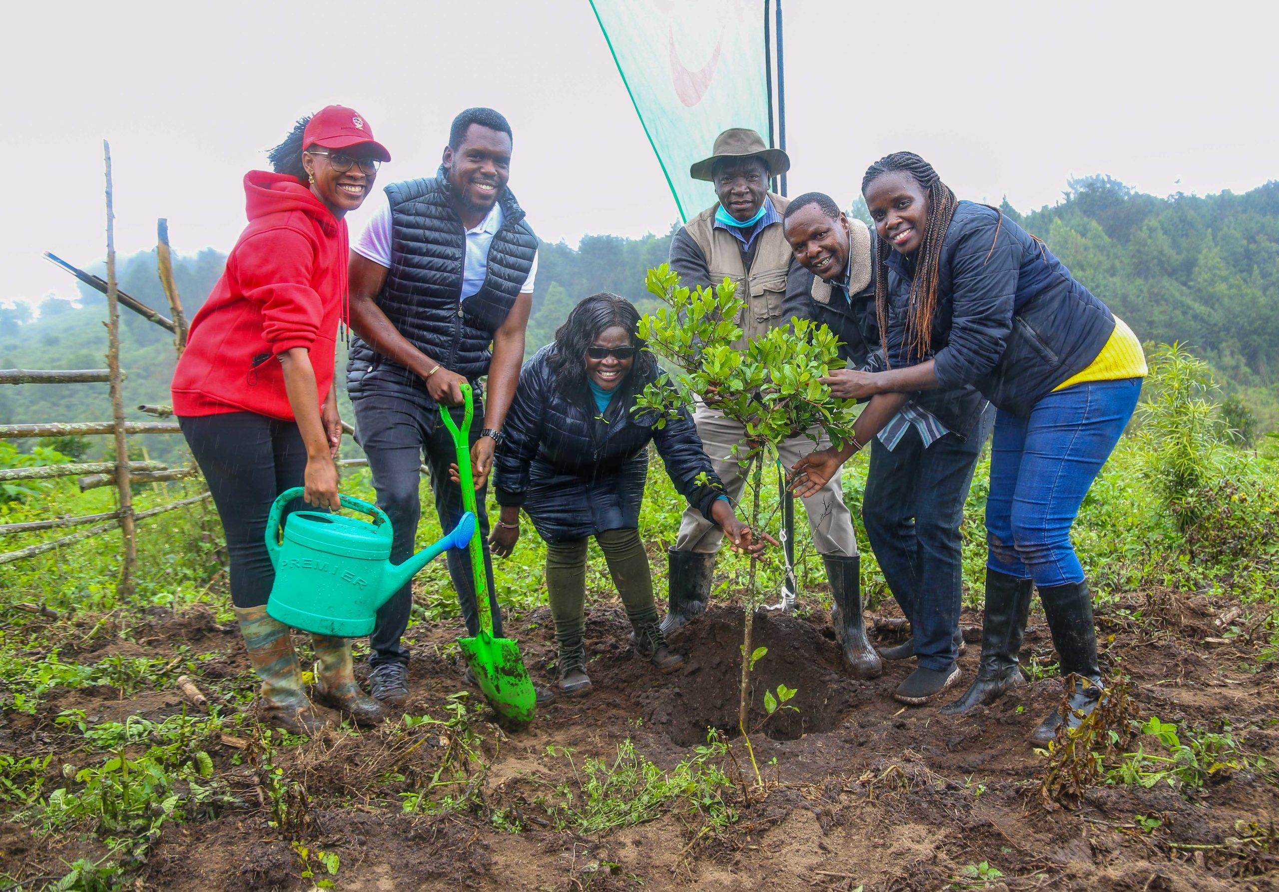 Safaricom plants 10,000 additional trees in its 1 million trees ...