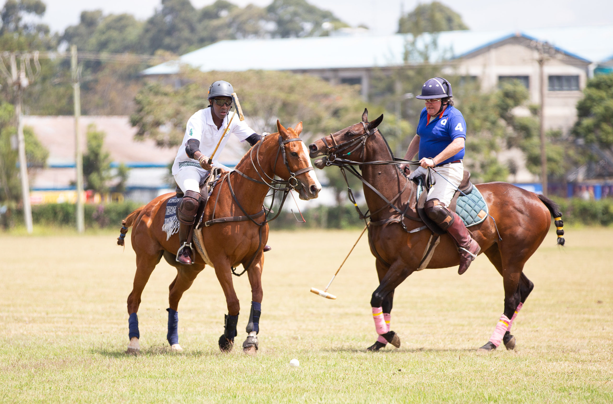 Tusker Malt Lager to sponsor the Soldier's Salute Polo tournament this ...