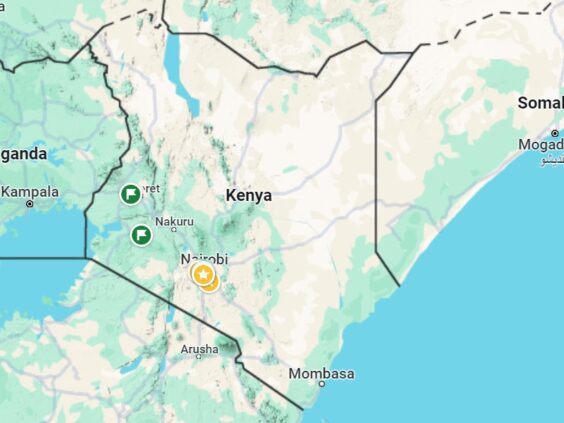 Moringa to equip 3,600 Kenyan youth with free AI skills, backed by ...