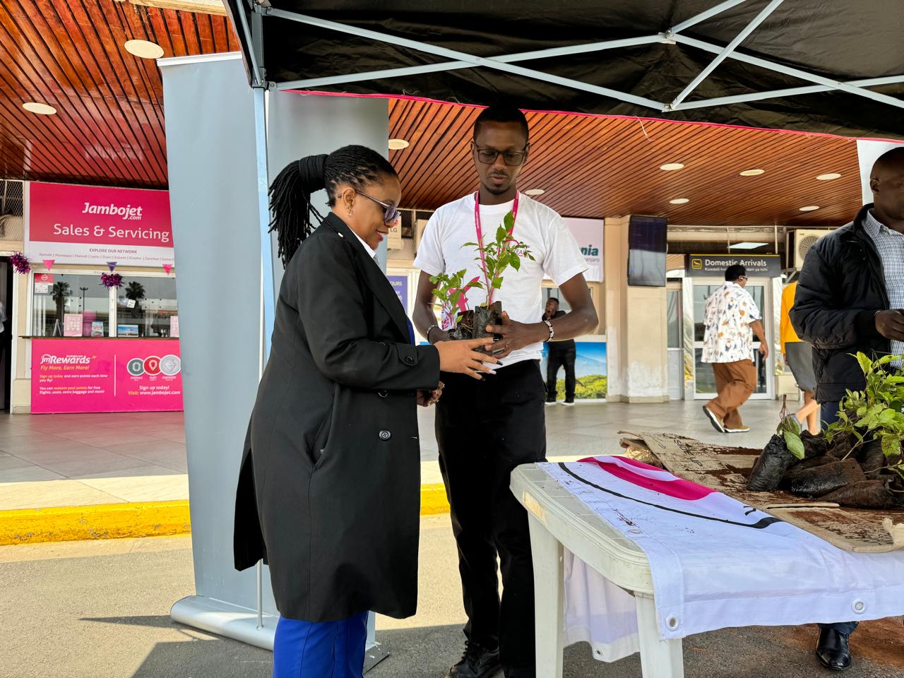 Jambojet leads tree planting efforts in Eldoret, Kisumu & Nairobi for ...