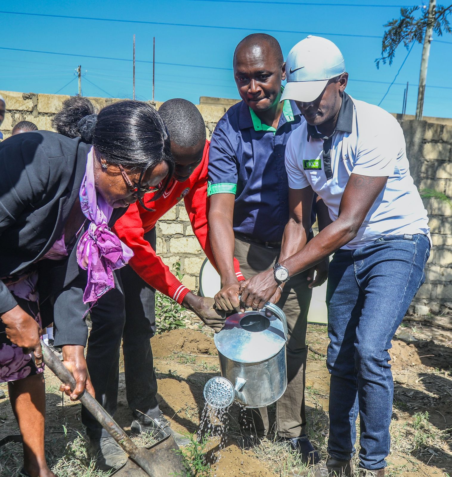 KCB plants trees in Naivasha as part of conservation initiative ahead ...